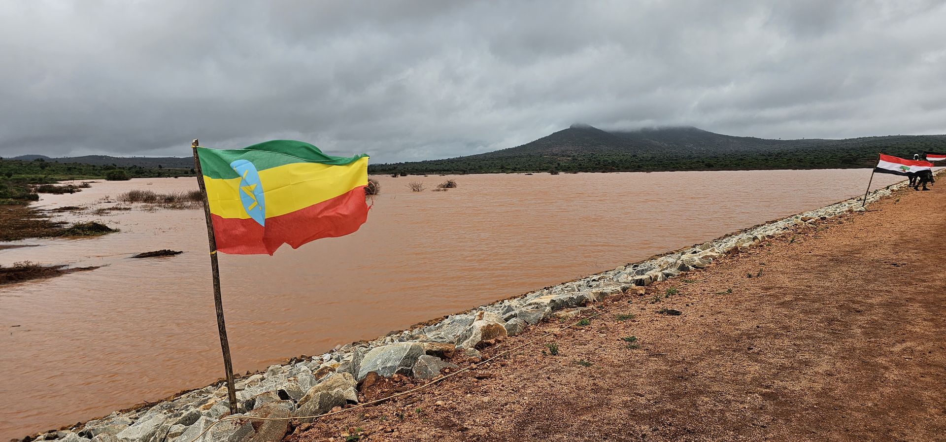 Home | OCG Official Website