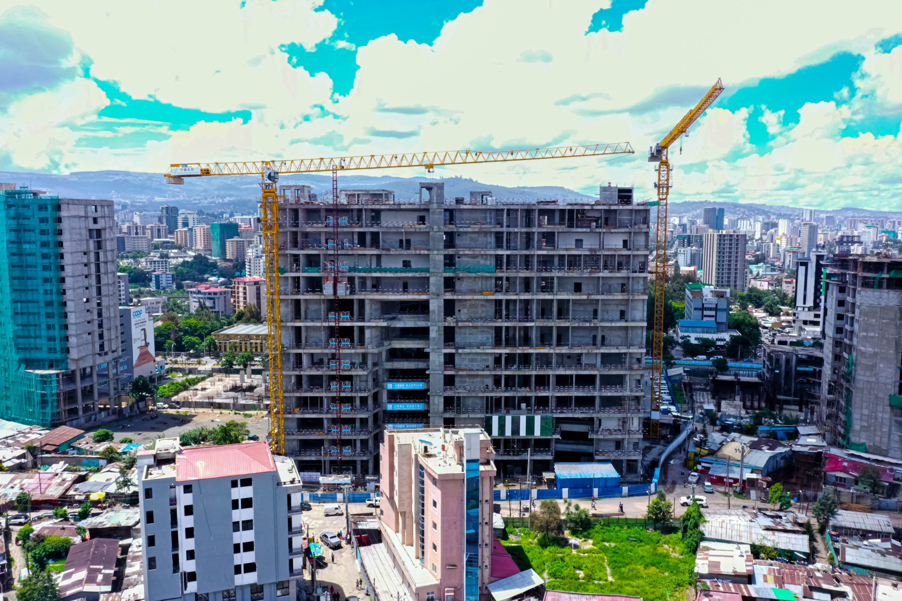 Home | OCG Official Website